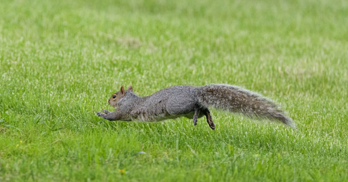 Timeline Speed: Unlocking Productivity Secrets for Faster Task ...
